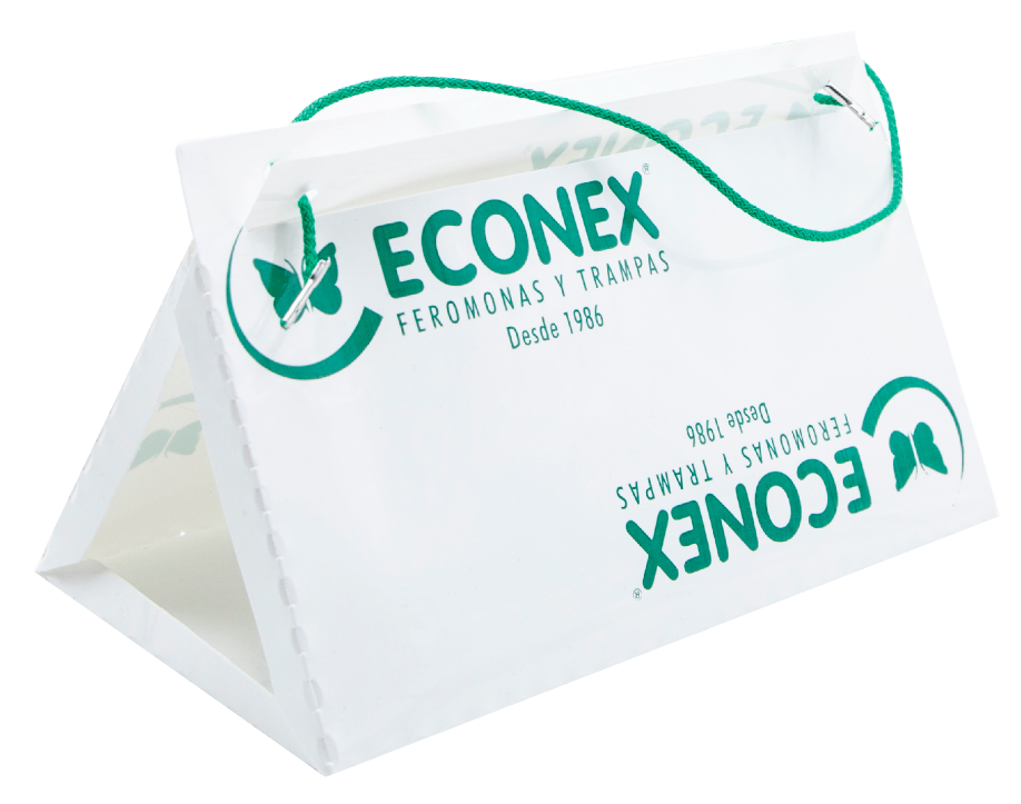 Ceratitis capitata | Fruit fly | ECONEX pheromones and traps